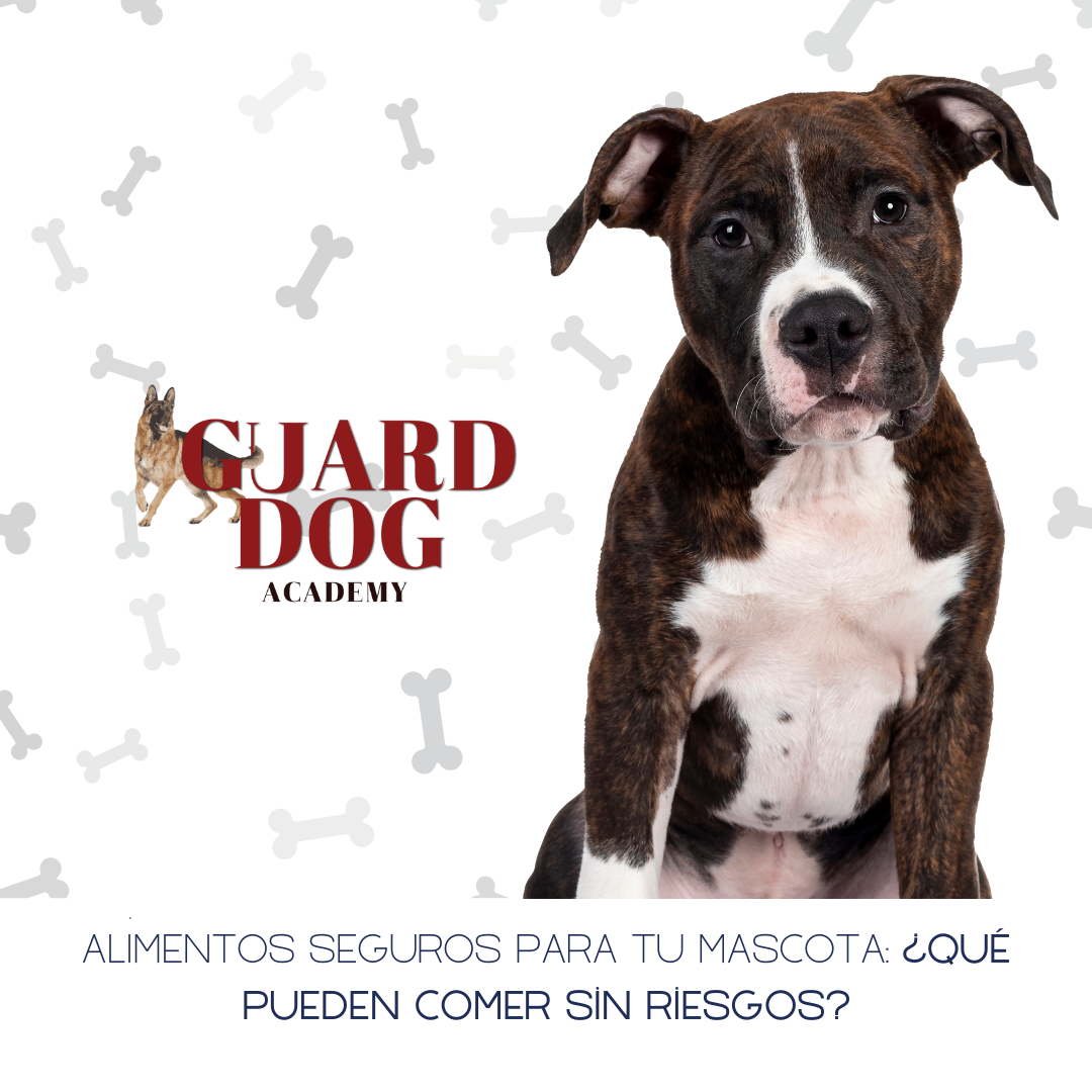 Alimentos seguros para tu mascota: ¿Qué pueden comer sin riesgos ...